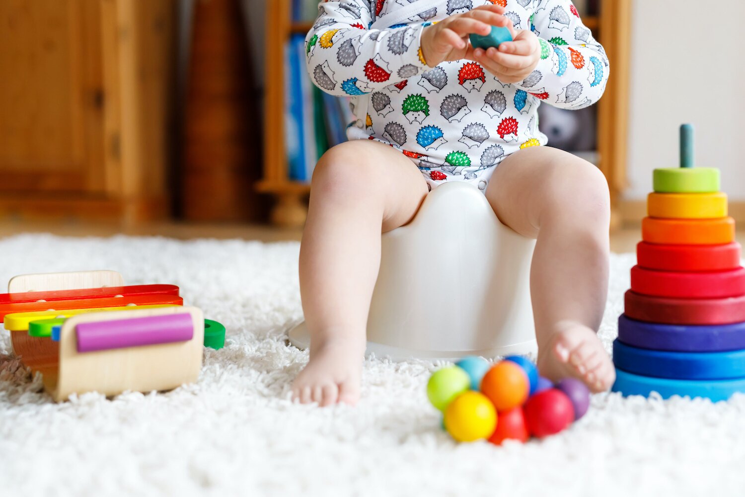 Potty Training Methods and Potty Chairs for When it’s Time to Go